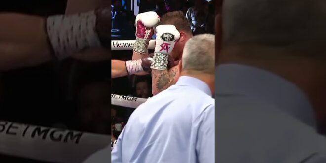 Canelo Alvarez chin = #shorts – Boxing News